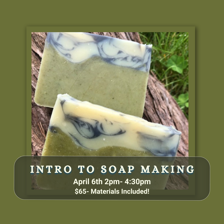 Classes & Workshops – Wildling Collaborative Arts